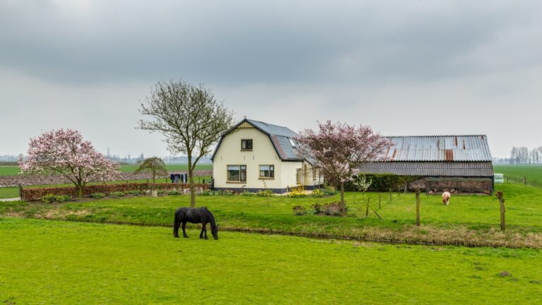 Modern Farmhouse Blinds in Newcastle | Style Meets Function